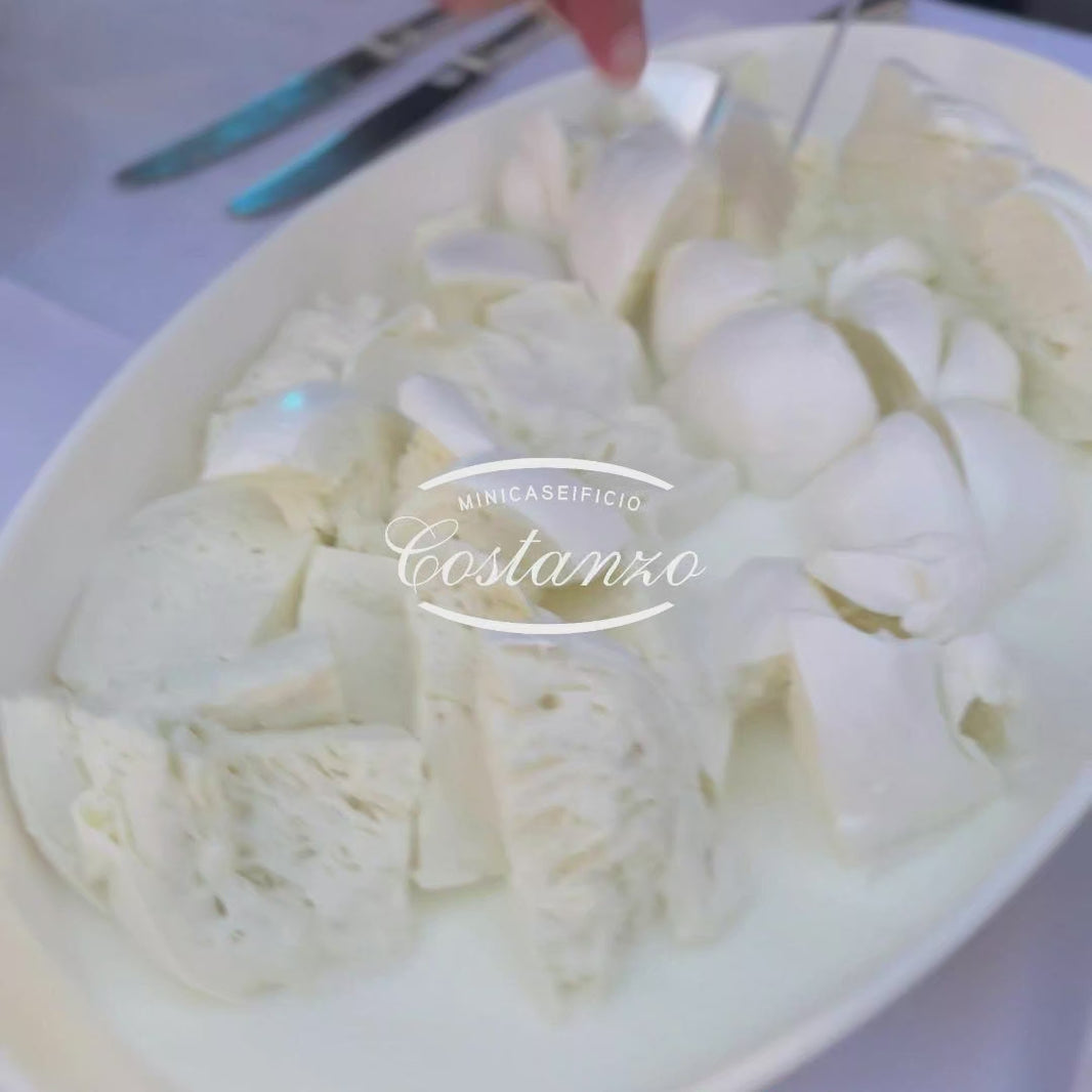 Mozzarella di Bufala e Formaggi Campani | Mini Caseificio Costanzo