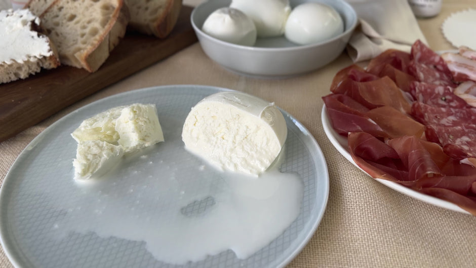 Mozzarella di Bufala e Formaggi Campani | Mini Caseificio Costanzo